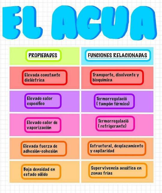 El Agua | YUDOC.ORG | uDocz