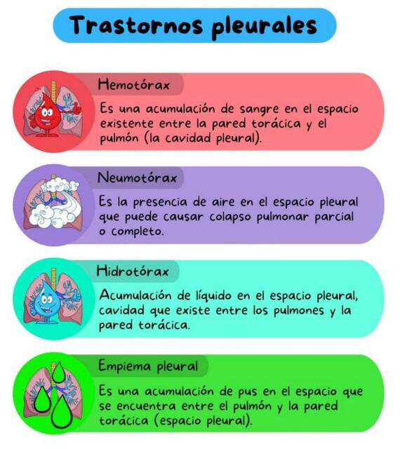 Trastornos pleurales | YUDOC.ORG | uDocz