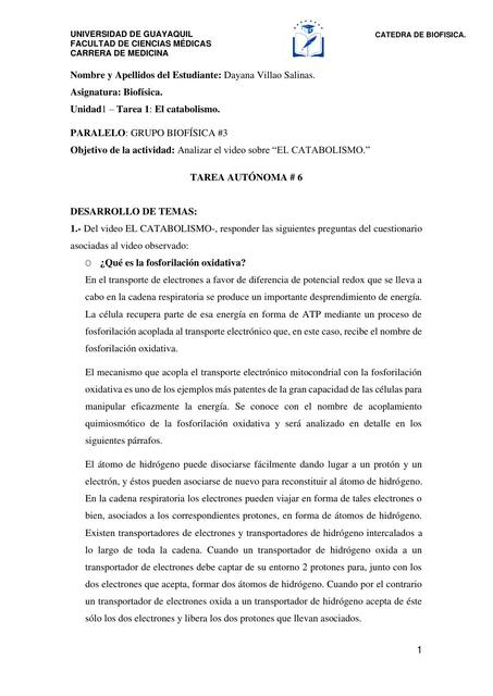 El Catabolismo | Dayana Villao | uDocz