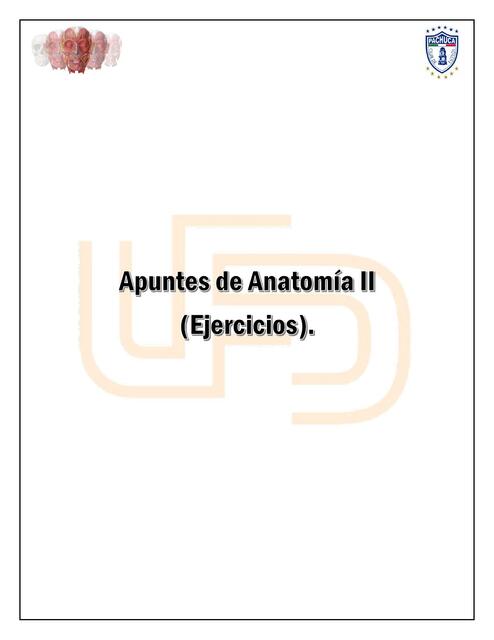 Apuntes de Anatomía II (Ejercicios) | Arturo Arriaga | uDocz