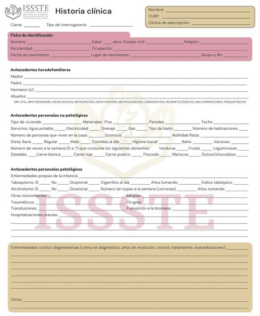 Formato de historia clínica ISSSTE para ingresos MIP internos | Javier Rios | uDocz