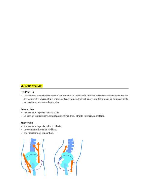 Marcha normal & tipos de marcha | Physio Studies | uDocz
