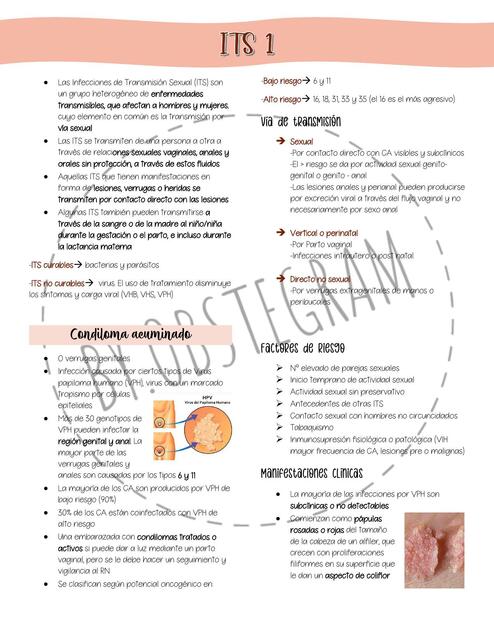 ITS 1 | Francisca | uDocz