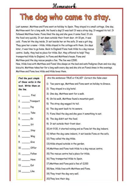 The dog who came to stay | Geraldine Marcas | uDocz