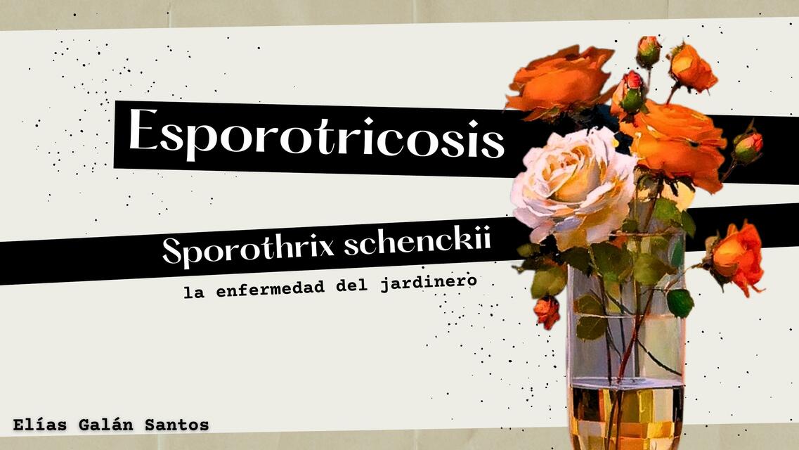 Esporotricosis Sporothrix schenckii | Elias Galán Santos | uDocz