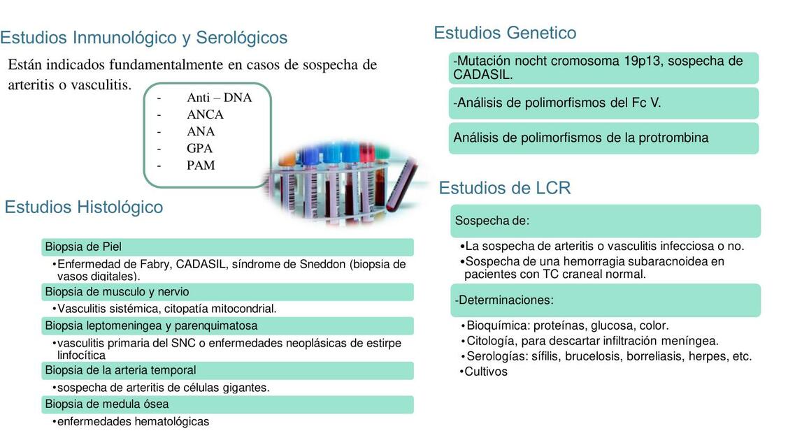 Enfermedad Cerebrovascular Isquemica Estudios inmunológicos | Doctor_teco | uDocz