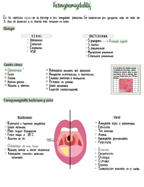 Faringoamigdalitis | Georgina Padilla | uDocz