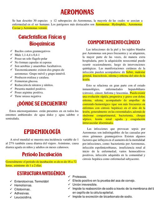 Aeromonas y Plesiomonas | Alisdey Rojas | uDocz