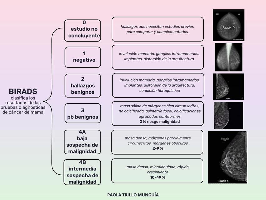 Birads | Pao | uDocz