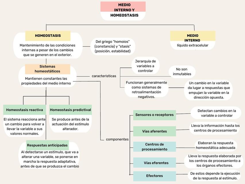 Medio interno y homeostasis | EDITH MONTSERRAT GUTIERREZ ROMO | uDocz