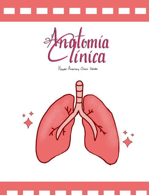 Anatomía Clínica | Haydet Anaxirany Osorio Valades | uDocz
