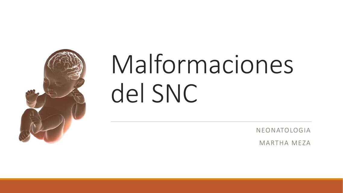 Malformaciones del SNC | Alejandra Reyes | uDocz