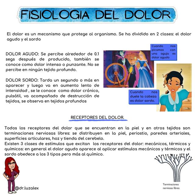 FISIOLOGIA DEL DOLOR | Dra. Xanis | uDocz