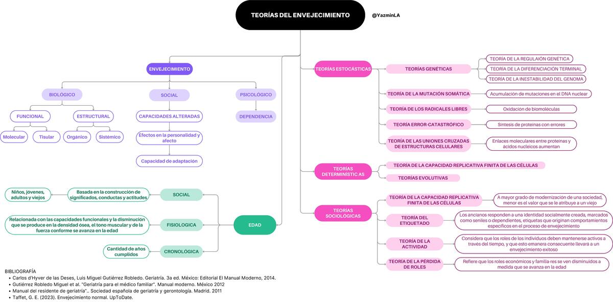 Mapa conceptual Teorías del envejecimiento | Yazmin LA | uDocz