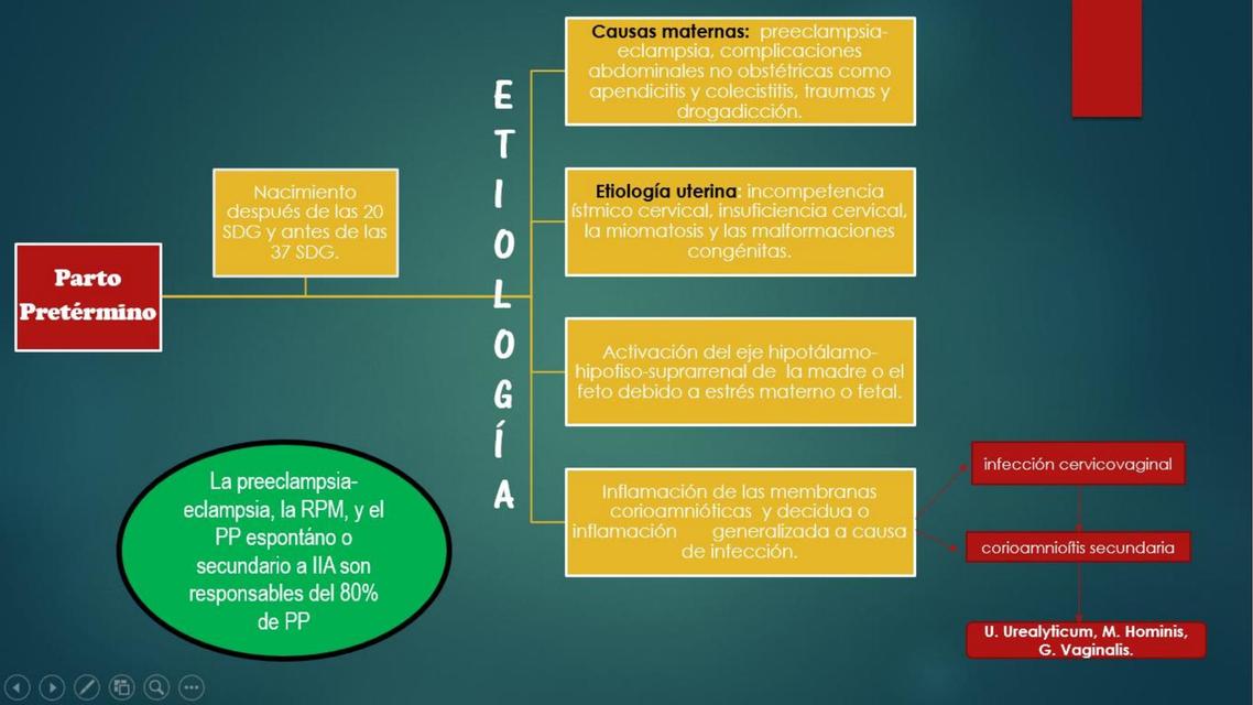 parto pretermino infografia | FitMed | uDocz