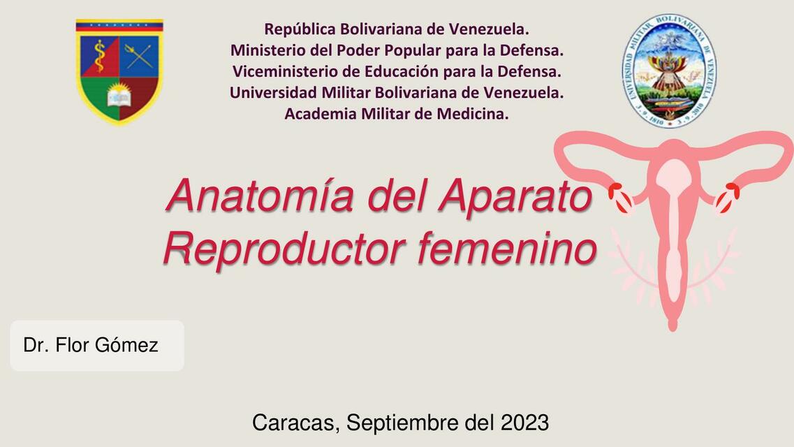 Anatomía del Aparato Reproductor Femenino | Maria Torrealba | uDocz