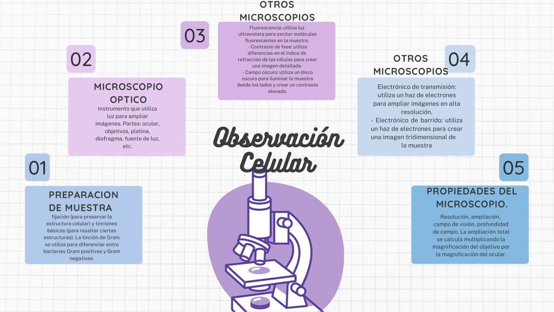 Observación Celular (Microscopios) | paola medina | uDocz