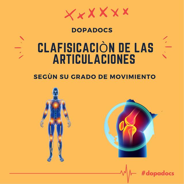 Clasificación de las Articulaciones | Dopadocs | uDocz