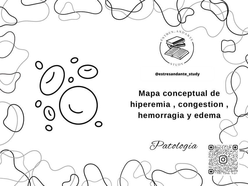 Flashcards de Mapa conceptual de hiperemia congestion hemorragia | Por ...