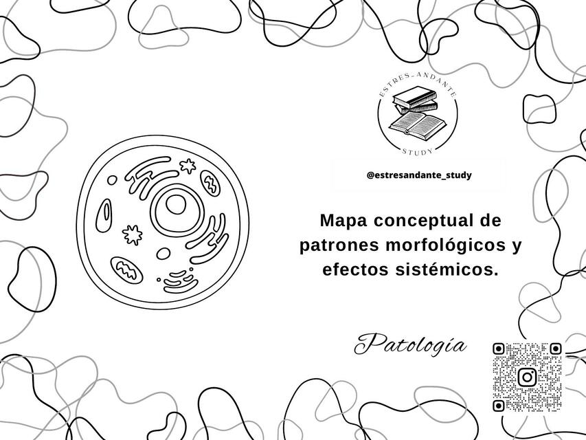 Patrones morfológicos y efectos sistemicos | Estresandante_Study | uDocz
