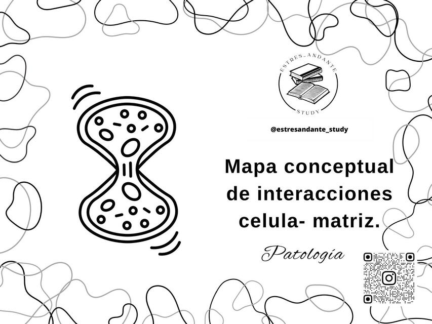 Mapa conceptual de interacciones célula matriz | Estresandante_Study ...