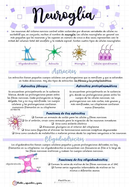 Neuroglia sistema nervioso | Cinthia Martínez | uDocz
