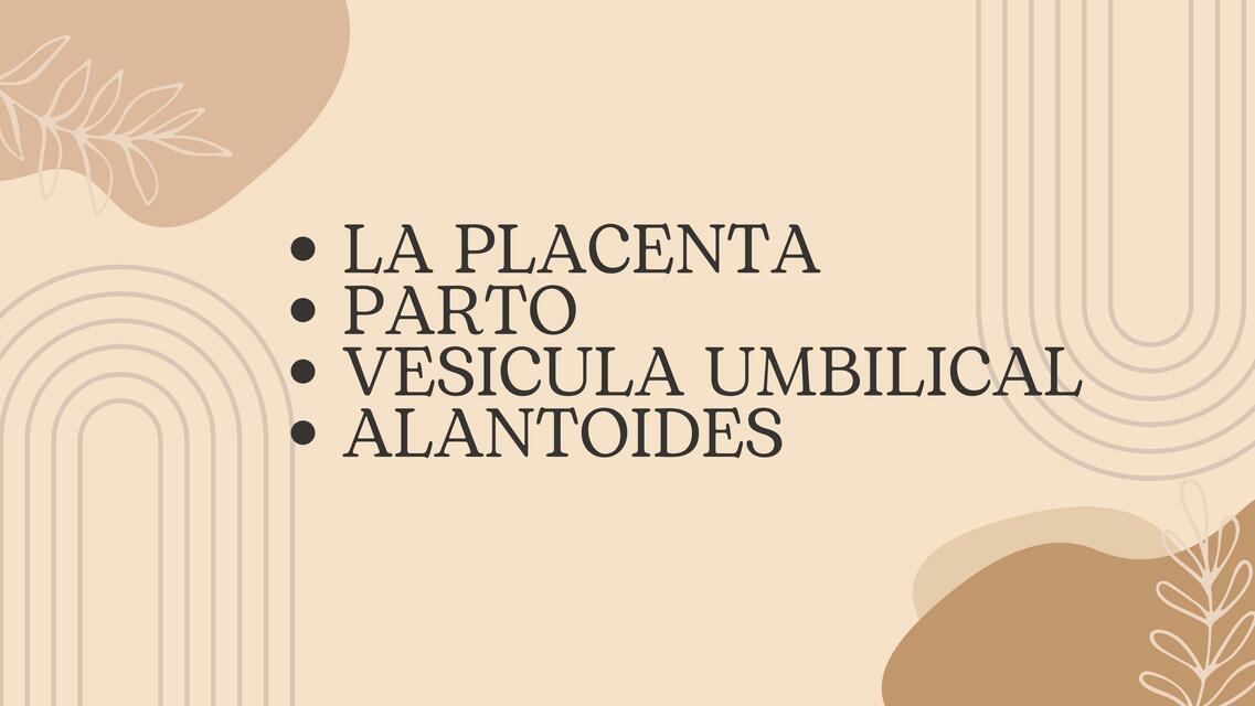 La Placenta, Parto, Vesícula Umbilical, Alantoides | EMILY 🌸 | uDocz