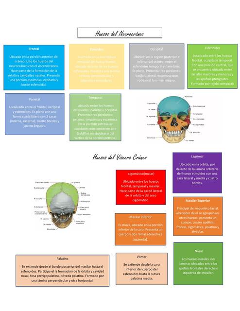 Caras merged merged | Mariaana Zeledon | uDocz