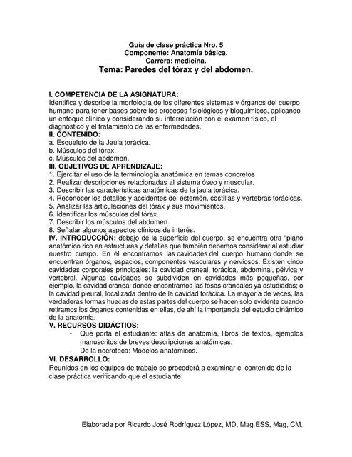 CP5 Pared torax y abdomen1 | Mariaana Zeledon | uDocz
