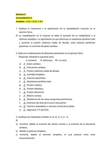 Consolidación 5 | Ysaac Garcia | uDocz