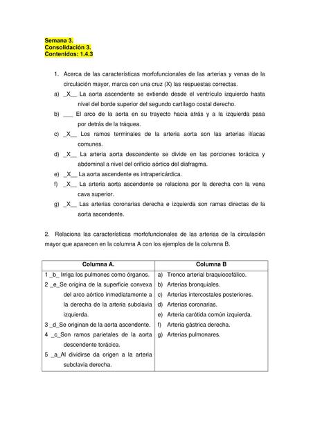 Consolidación 3 | Ysaac Garcia | uDocz