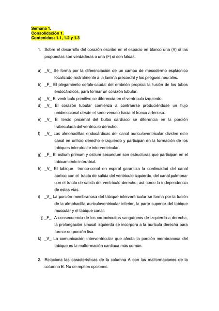 Respuetas Consolidaciones Morfo IV | uDocz