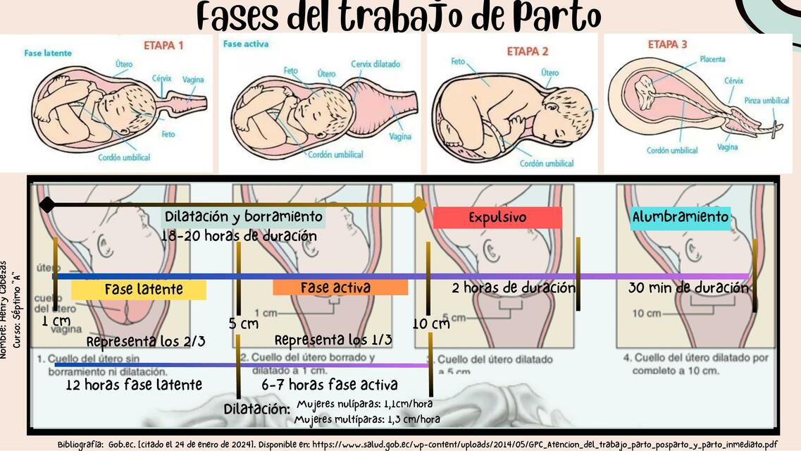 Fases Del Parto Trabajo De Parto Artofit
