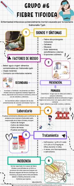 Fiebre tifoidea | LIDIA PATRICIA BARRERA VEGA | uDocz