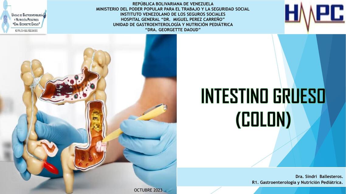 Anatomia de colon | Sindry Ballesteros | uDocz