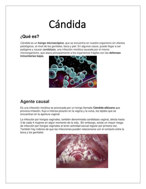 Cándida | Monse | uDocz