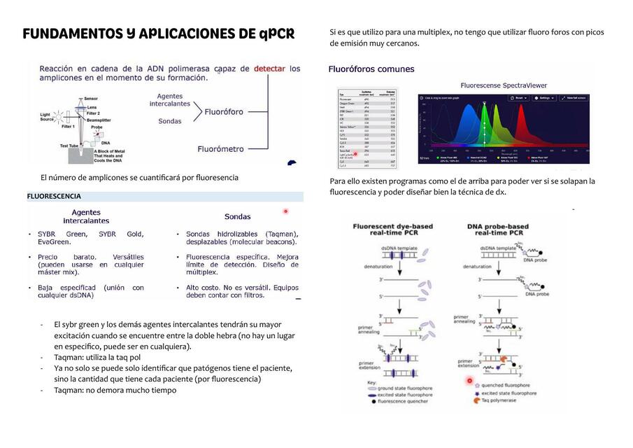 Fundamentos y aplicaciones de qPCR | Gina | uDocz