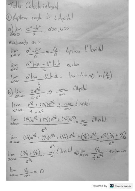 Taller calculo | tustrabajos.co | uDocz