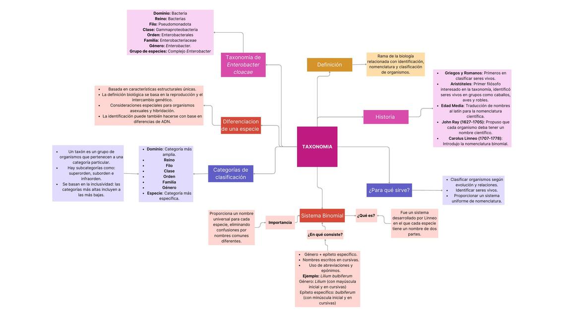 Mapa conceptual Taxonomía | tustrabajos.co | uDocz
