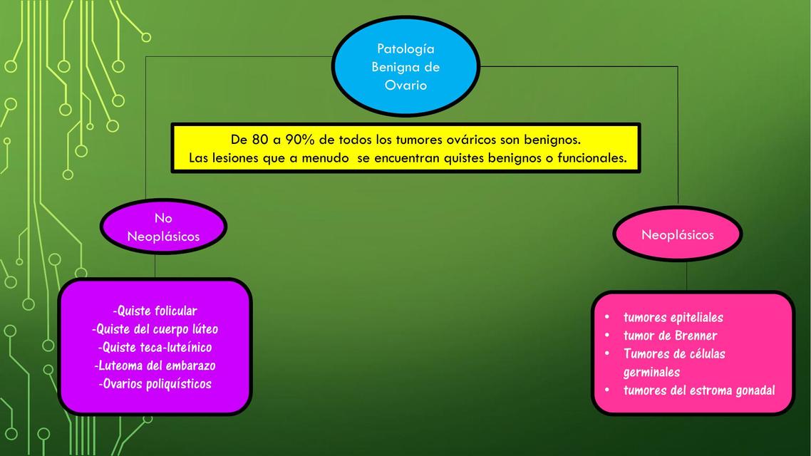 Patología Benigna de Ovario mapa conceptual | FitMed | uDocz