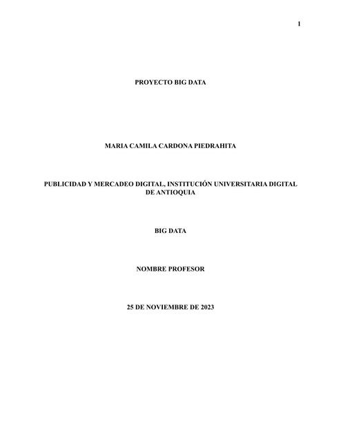Proyecto Big Data Udocz
