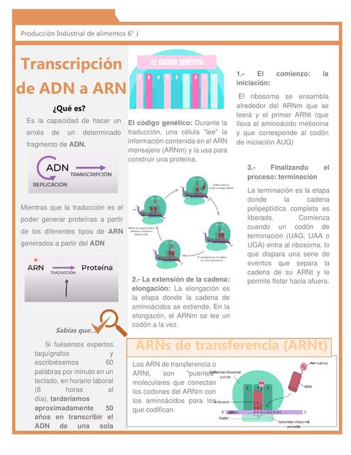 Transcripción de ADN a ARN | Aida Flores | uDocz