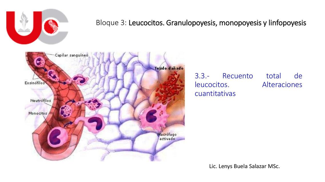 Recuento de leucocitos | Themovie Nath y rODw | uDocz