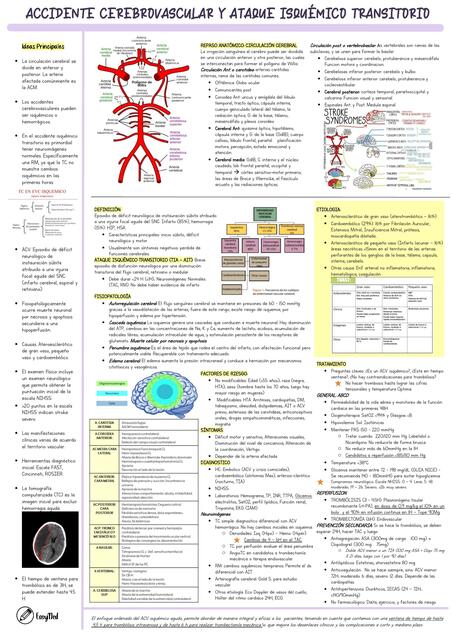Accidente cerebrovascular y ataque isquémico transitorio | EasyMed | uDocz