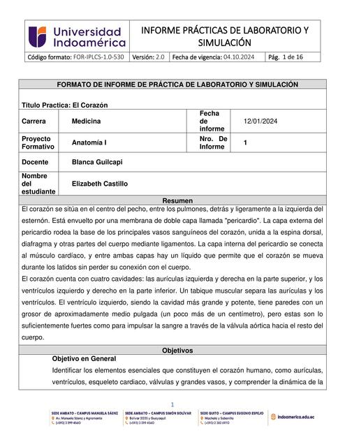 Formato De Informe De Práctica De Laboratorio Y Simulación Kriscj7 Ec