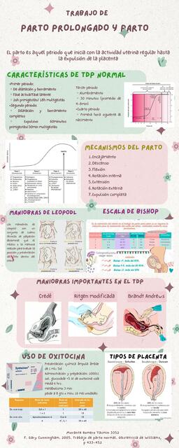 Trabajo de Parto Prolongado y Parto | yasmin Yasmin | uDocz