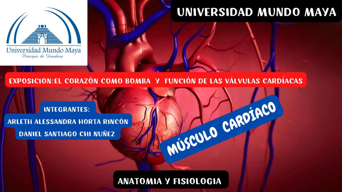 Musculo Cardiaco | Davinson Palmer | uDocz