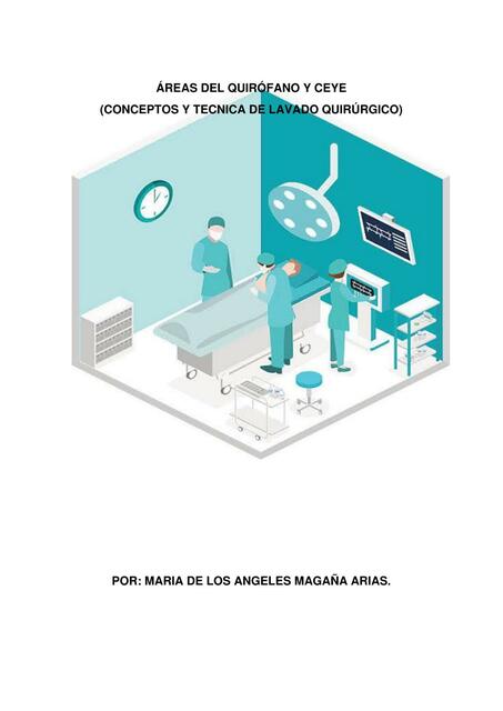 Áreas del Quirófano y Ceye | Maria Magaña | uDocz