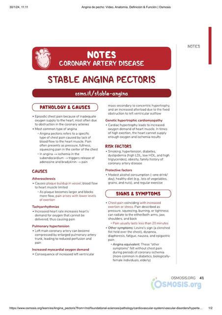 Angina de pecho Vídeo Anatomía Definición Función | CELESTE BG | uDocz