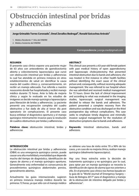 Obstrucción Intestinal por Bridas y Adherencias | GERALDINE GUTIERREZ ...